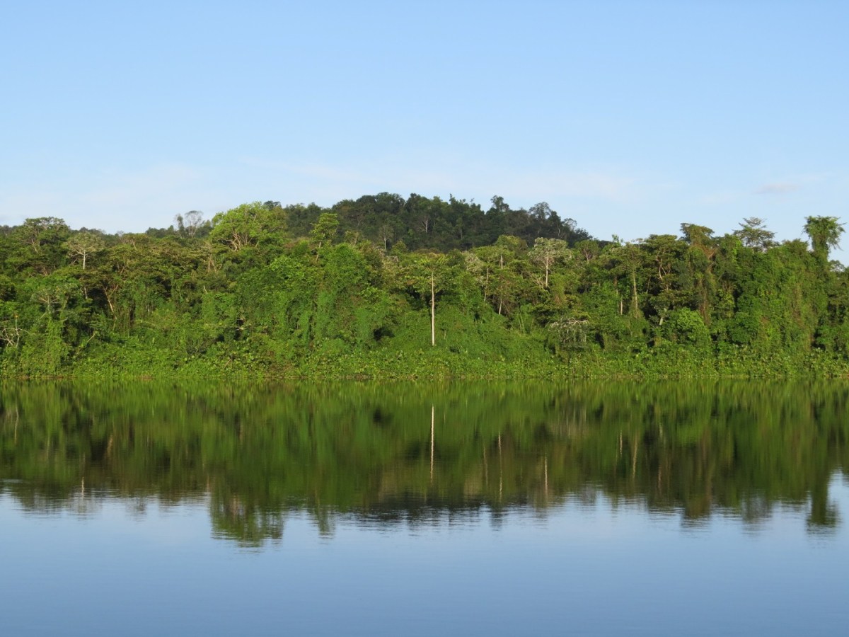 Suriname: Parbo and Berg en Dal | travellingross